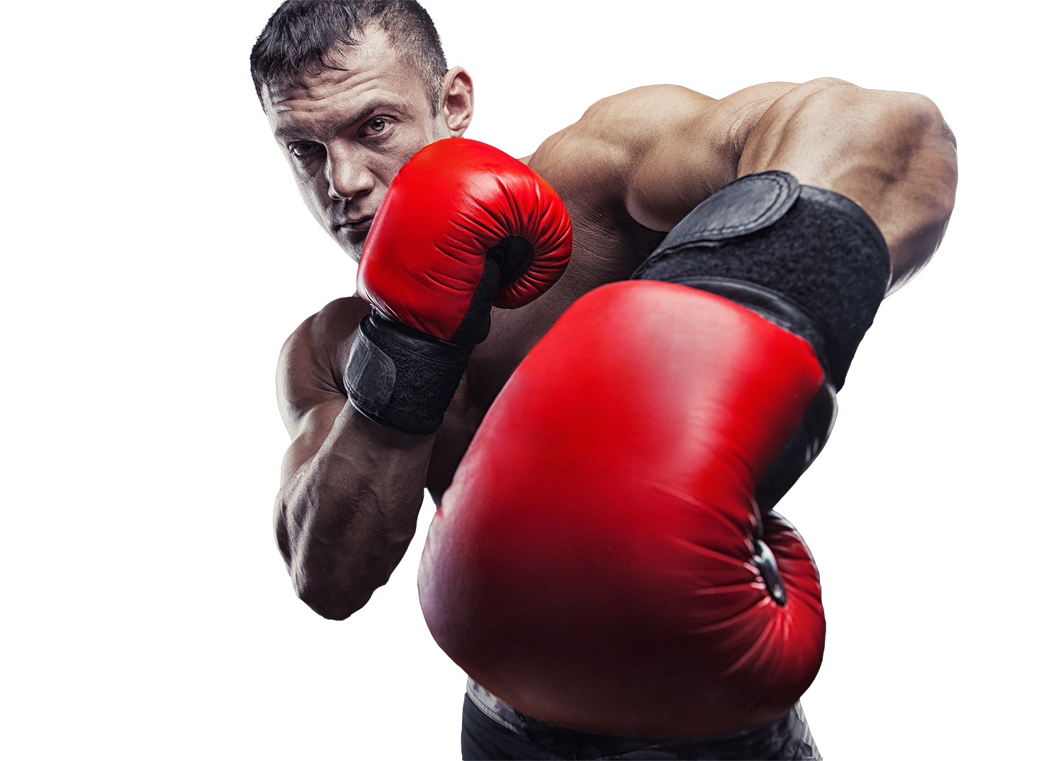 Bet On UFC In 2023 Find Top Betting Sites In Canada bet-on-ufc-in-2023-find-top-betting-sites-in-canada